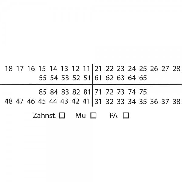 Zahnschema (2) Holzstempel | stempel-versand.at